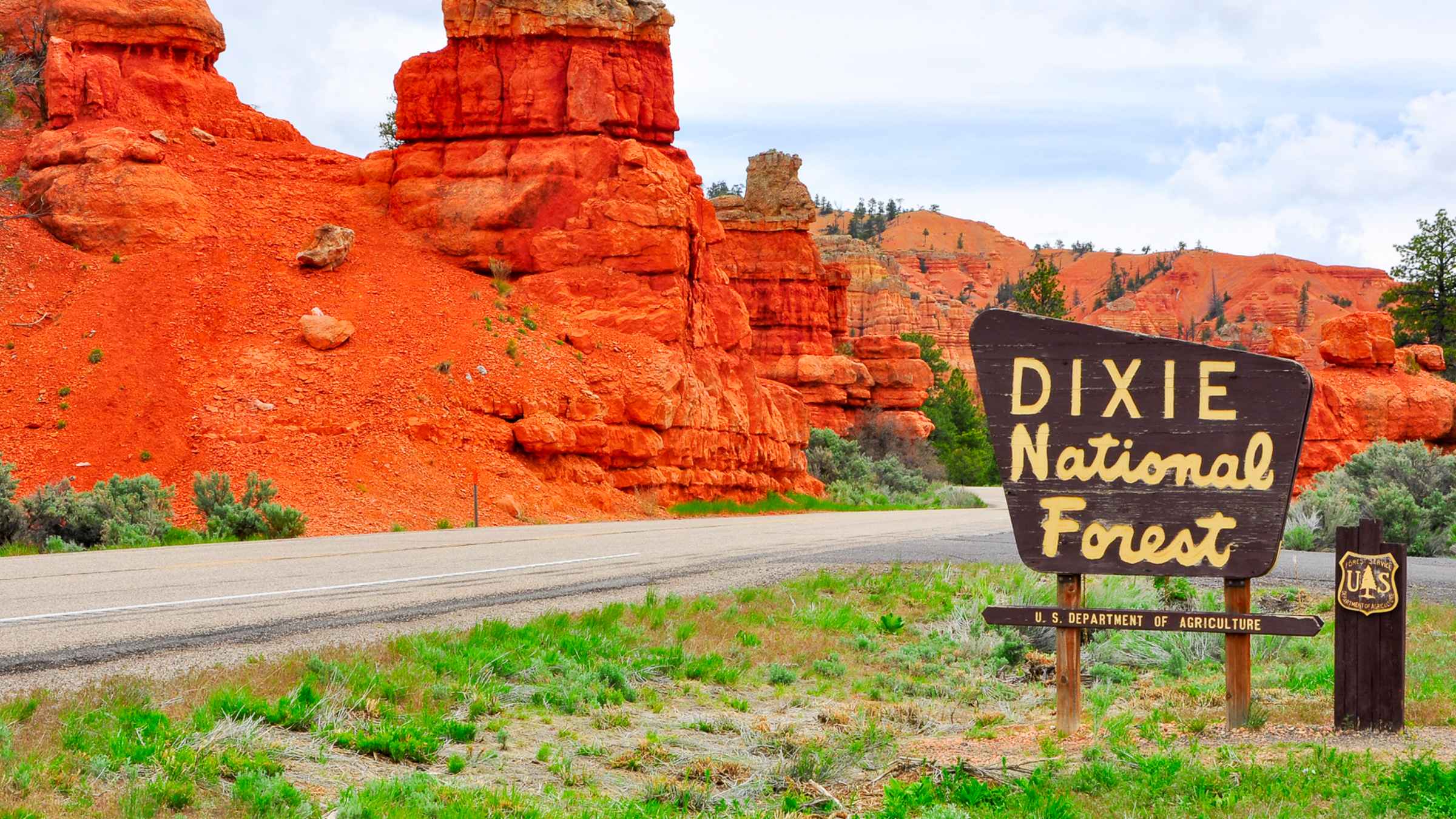 Dixie National Forest Hiking | GetYourGuide