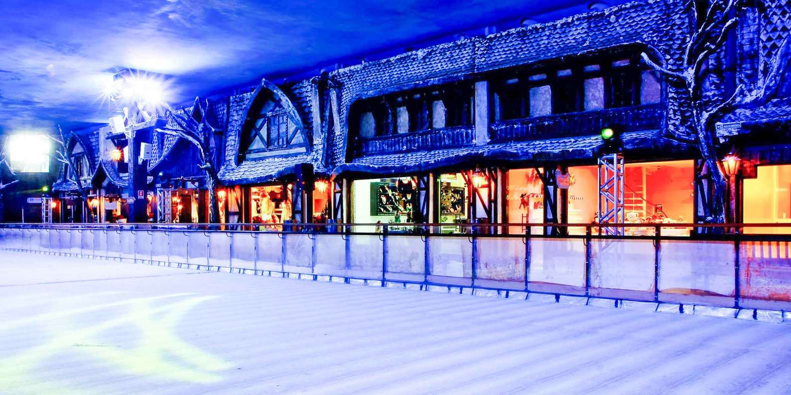 Snowland Gramado tickets: comprar ingressos agora | GetYourGuide