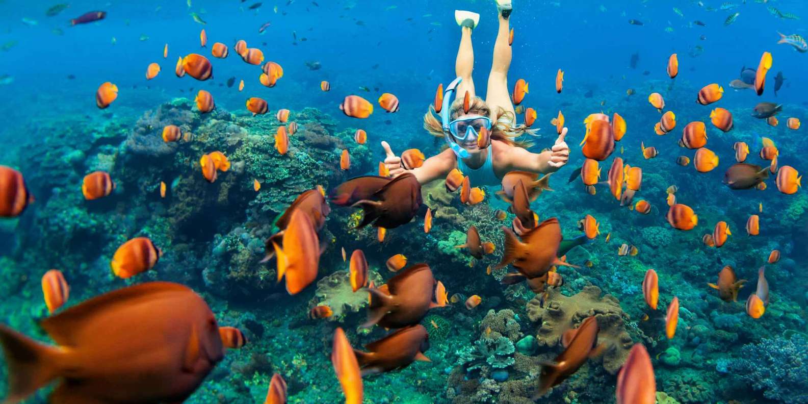 Buck Island National Wildlife Refuge, Christiansted - Book Tickets ...
