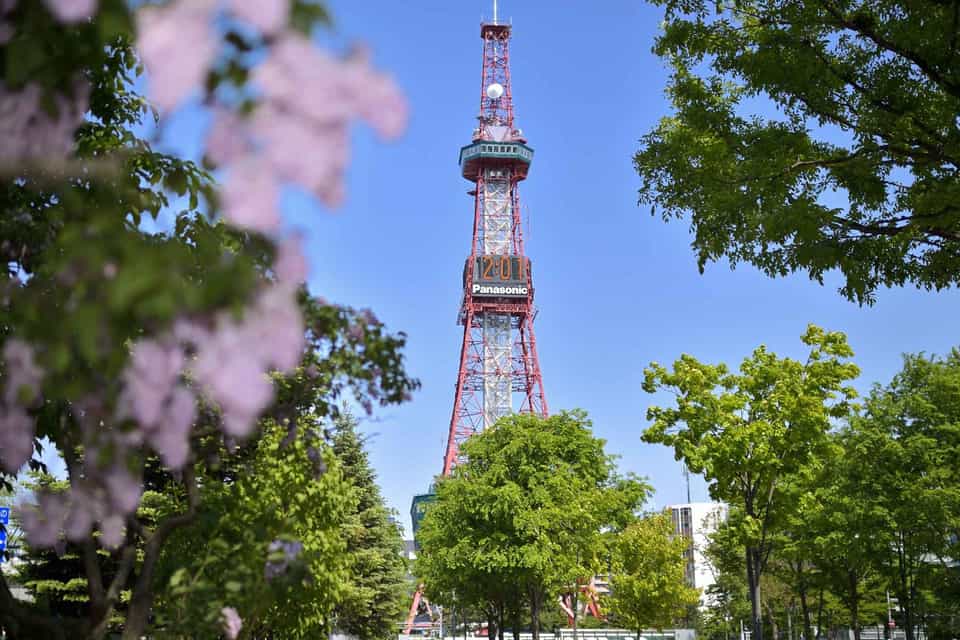 Showa Shinzan Bear Ranch: tickets y actividades