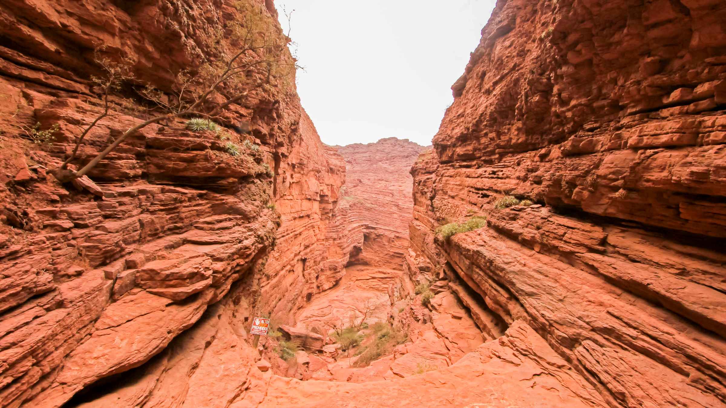 10 Best Day Trips from El Anfiteatro 2021 - Info & Tickets | GetYourGuide