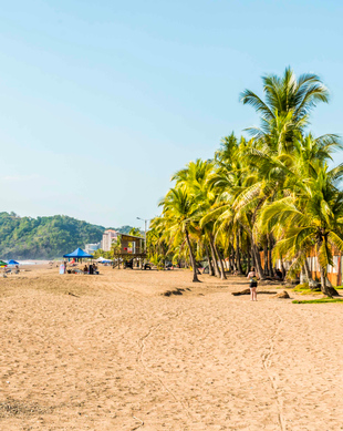 The BEST Jaco Tours and Things to Do in 2024 - FREE Cancellation ...