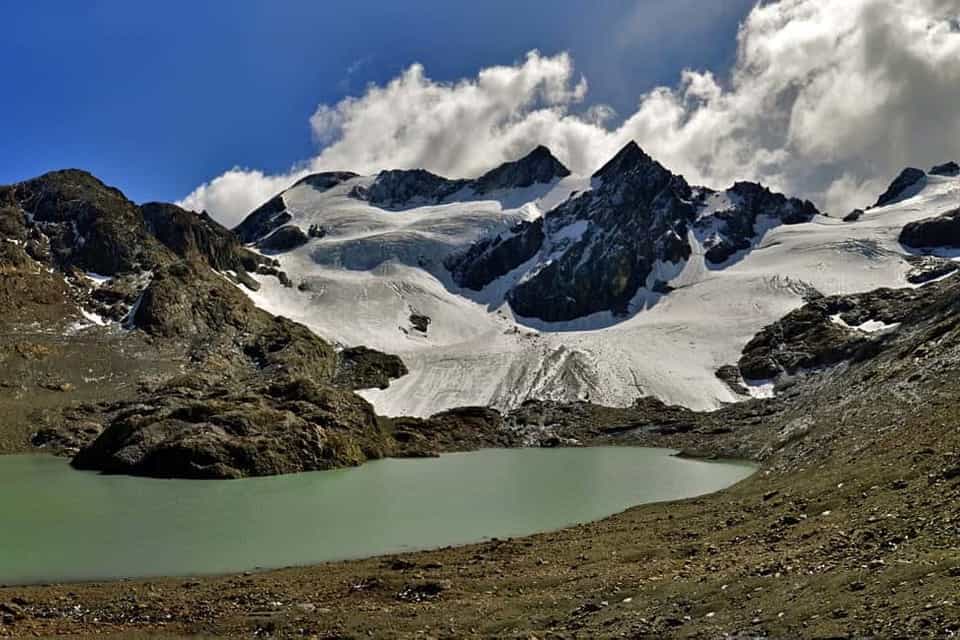 Isla Martillo, Ushuaia - Tickets & Eintrittskarten | GetYourGuide