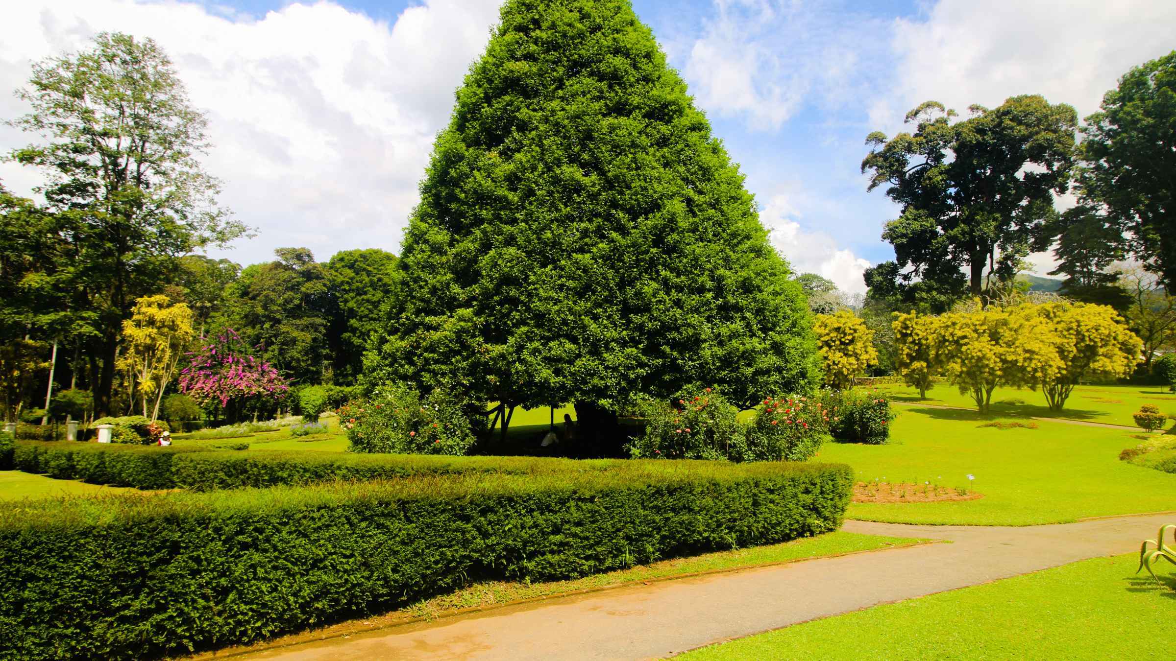 Royal Botanic Gardens, Kandy, Kandy - Book Tickets & Tours | GetYourGu