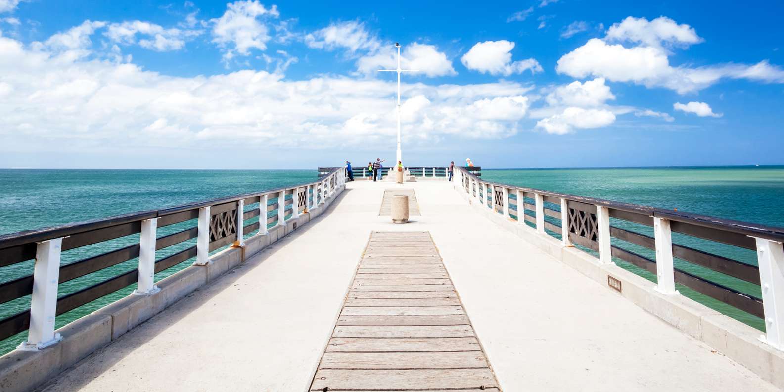 The BEST Port Elizabeth Tours and Things to Do in 2024 - FREE ...