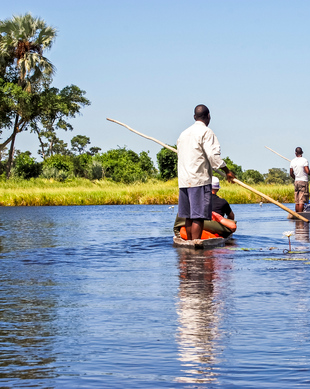 The BEST Maun Tours and Things to Do in 2024 - FREE Cancellation ...