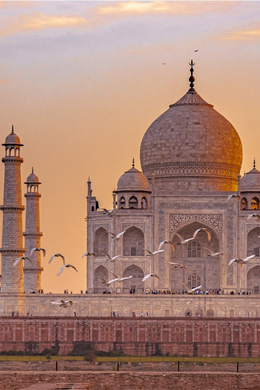 Mehtab Bagh, Agra - Book Tickets & Tours | GetYourGuide