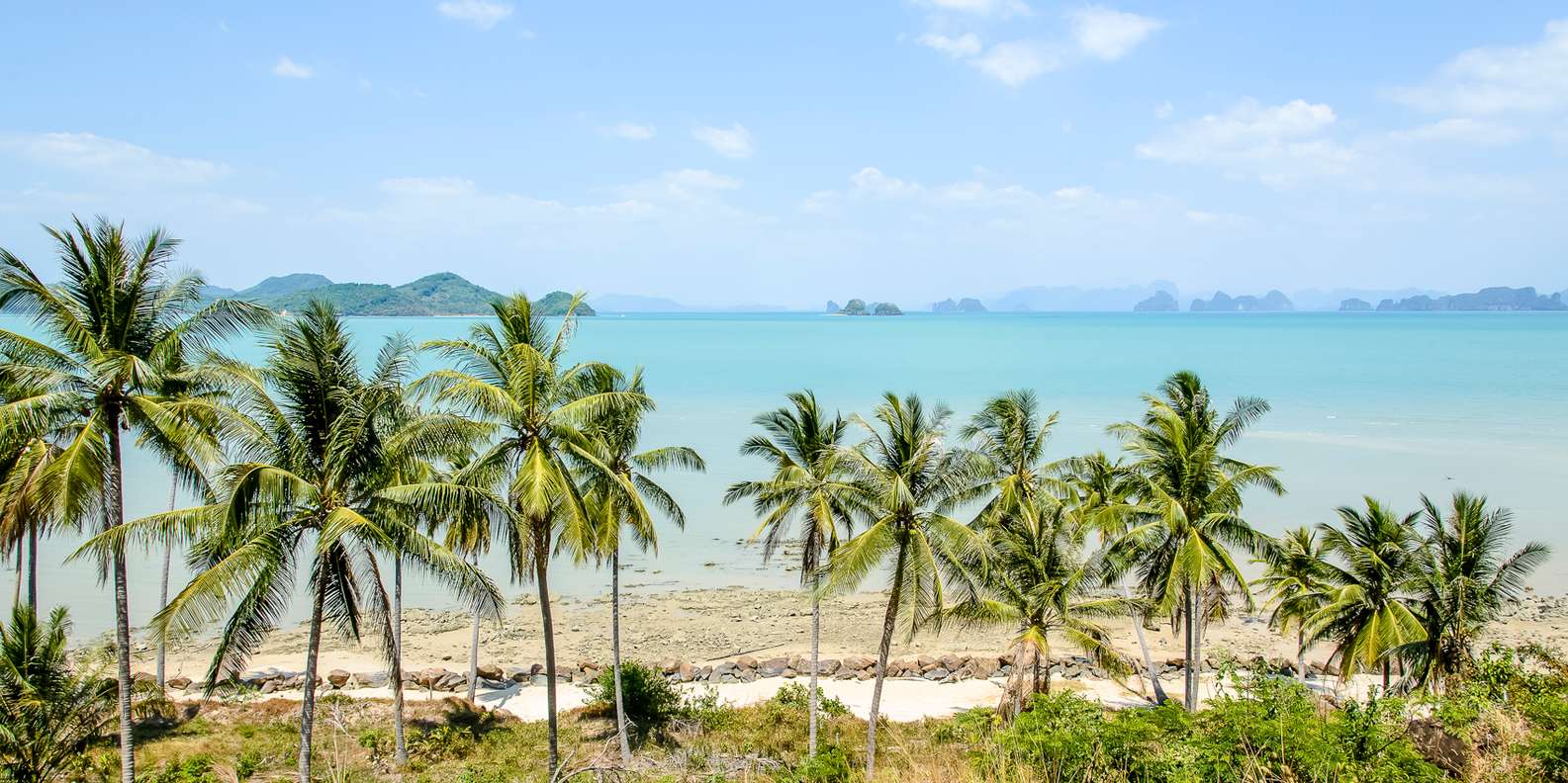 Book Things To Do, Attractions, and Tours | GetYourGuide