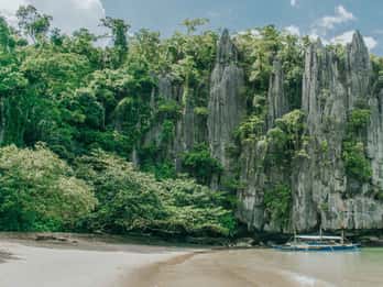 Kitu-KiTo D'Makarios Firefly Watching Place, Puerto Princesa - Reserva ...