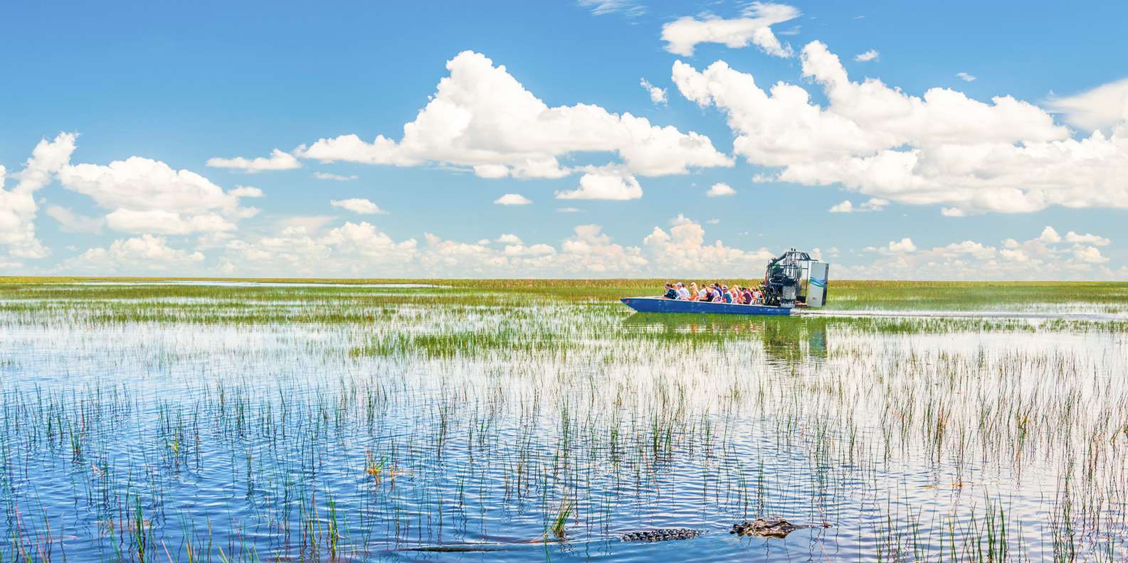 The BEST Wild Florida Airboats & Gator Park Alligator experiences 2023 ...