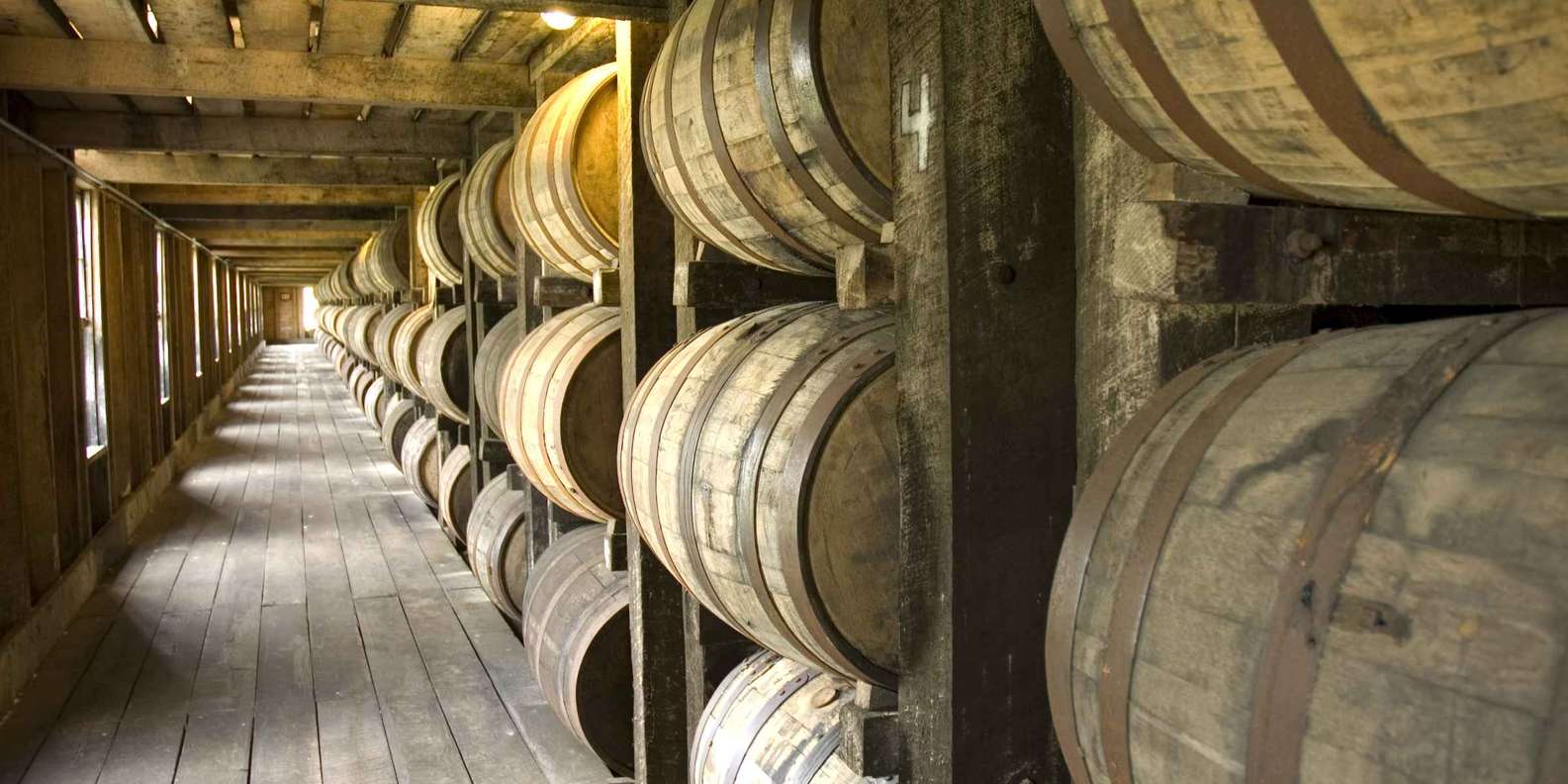 Day Trips from Barton 1792 Distillery | GetYourGuide