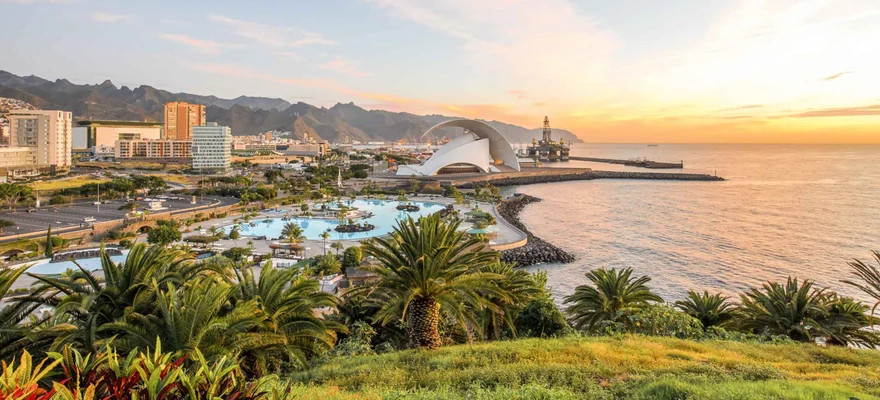 Palmetum, Santa Cruz de Tenerife - Book Tickets & Tours | GetYourGuide