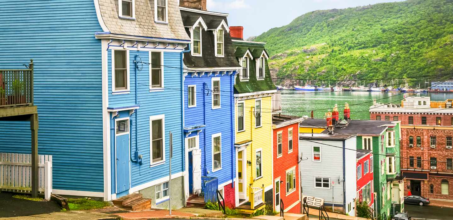 The BEST Newfoundland and Labrador Night tours 2023 - FREE Cancellation ...