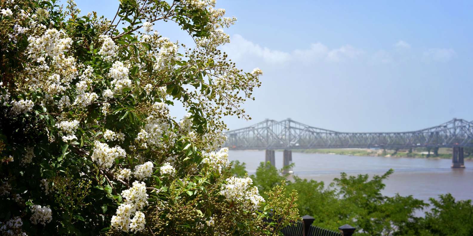 The BEST Natchez Tours and Things to Do in 2026 - FREE Cancellation ...