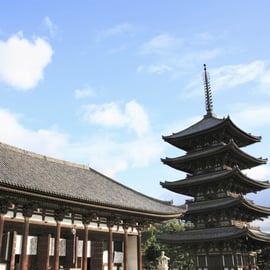 Nara Park, Nara - Book Tickets & Tours | GetYourGuide