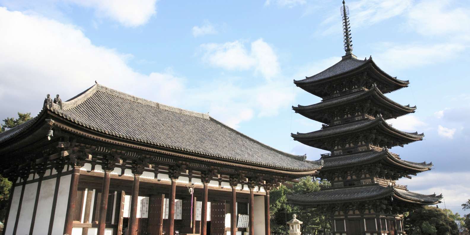 The BEST Nara Park Outdoor sports 2023 - FREE Cancellation | GetYourGuide