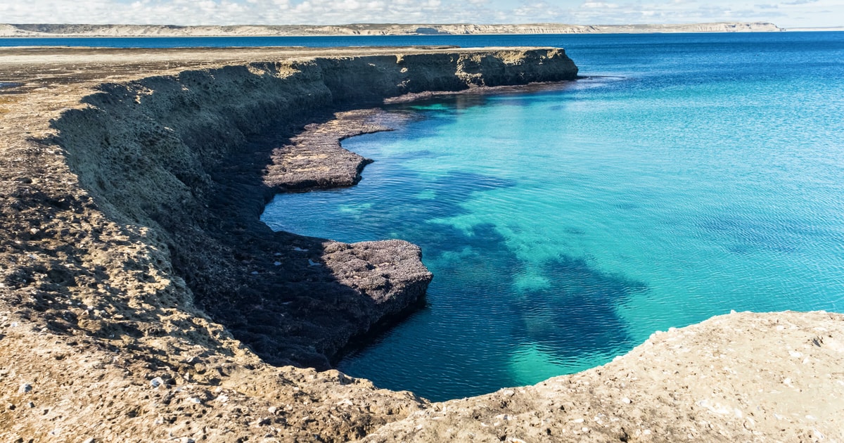 Valdes Peninsula, - Book Tickets & Tours | GetYourGuide.com