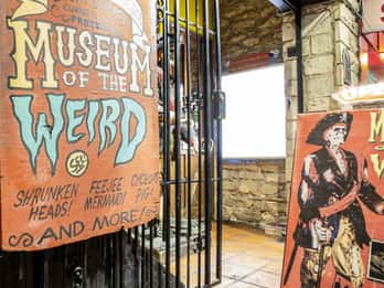 Austin Visitor Center, Austin - Book Tickets & Tours | GetYourGuide