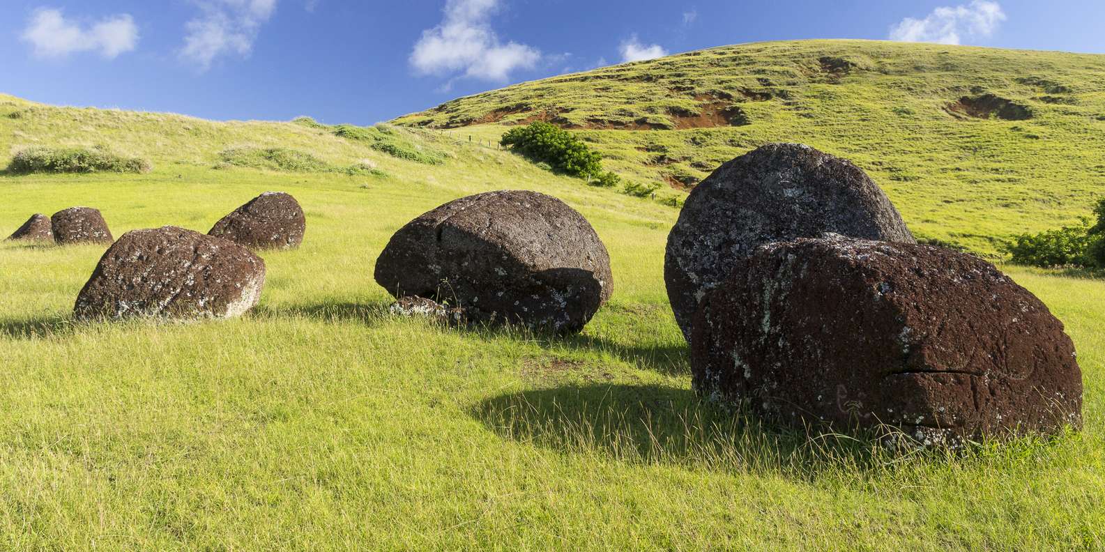 The BEST Puna Pau Hiking 2024 - FREE Cancellation | GetYourGuide