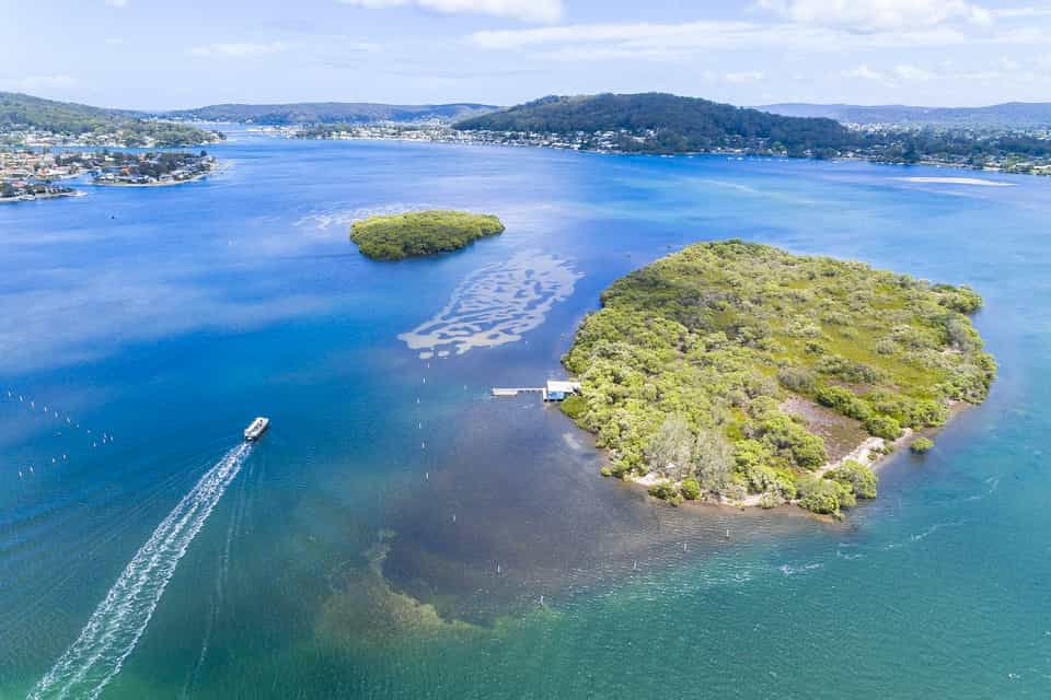 The BEST Mooney Mooney Tours and Things to Do in 2023 - FREE ...