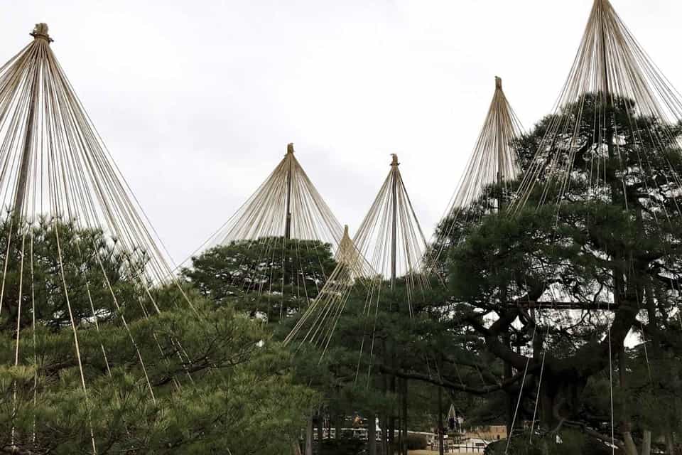 Nomura Clan Samurai Home, Kanazawa - Book Tickets & Tours | GetYourGuide