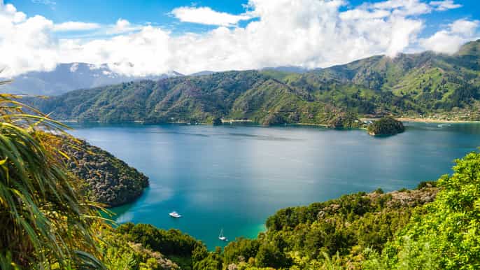 Marlborough Sounds tickets - - Prenotazione biglietti | GetYourGuide.com