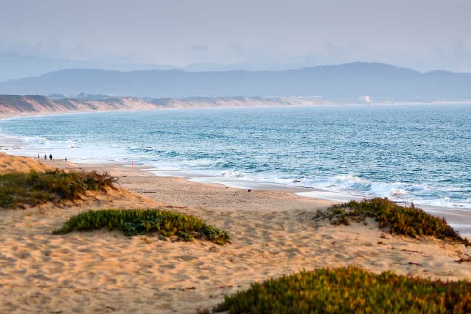 Monterey Bay Aquarium, Monterey - Book Tickets & Tours | GetYourGuide