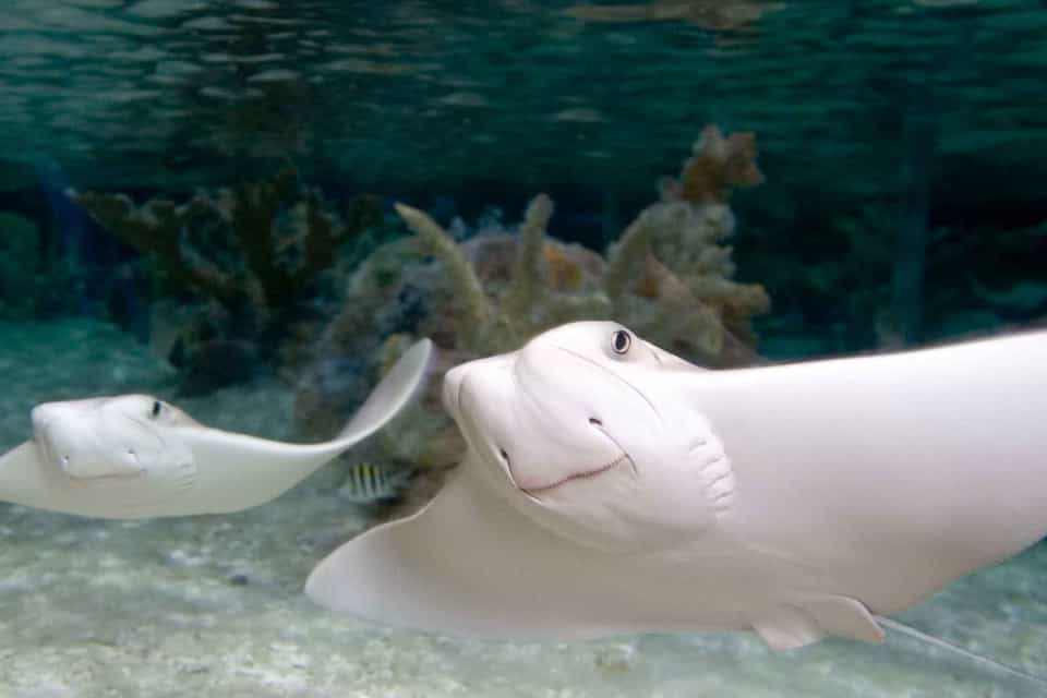 Grapevine Main Station, Grapevine - Book Tickets & Tours | GetYourGuide