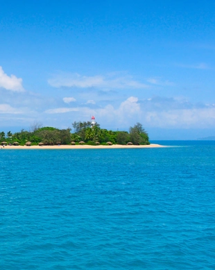 Low Isles Great Barrier Reef Low Isles Queensland: Luxury Sailing From