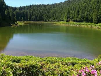 Praia do Pópulo, São Miguel Island - Book Tickets & Tours | GetYourGuide