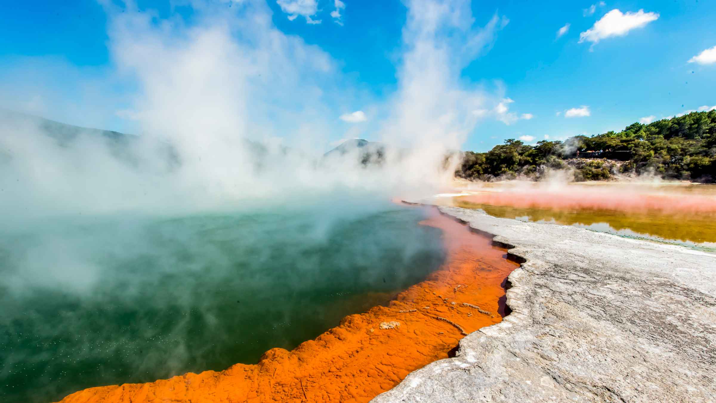 BESTE Stadtrundfahrten Und Bus Touren Rotorua 2022 KOSTENLOS