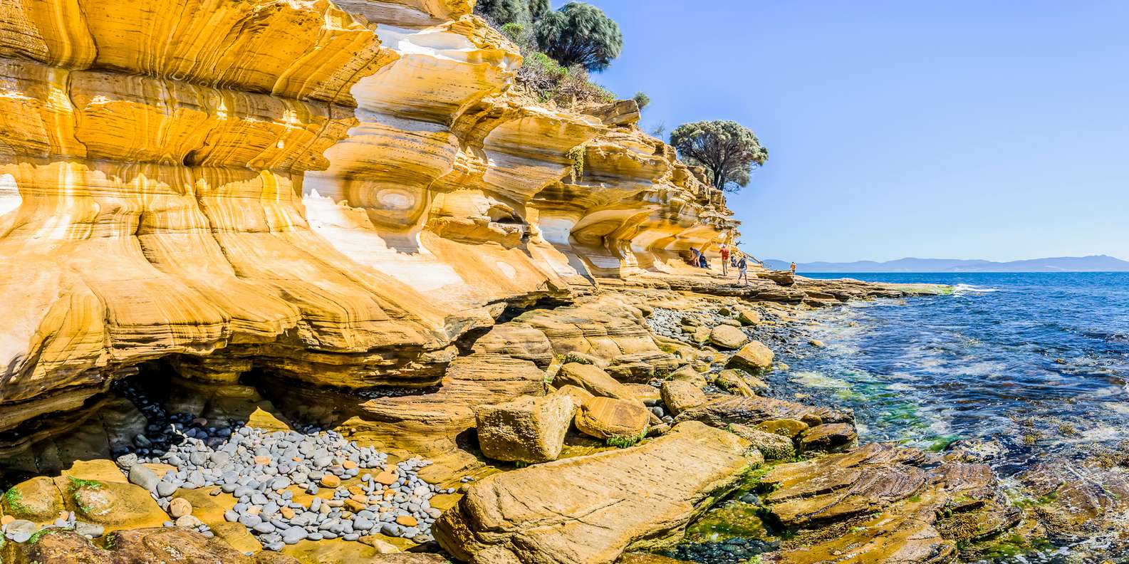 The BEST Maria Island Summer activities 2023 - FREE Cancellation ...