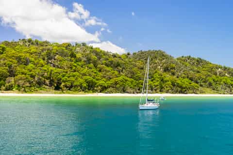 The BEST Moreton Bay Island tours 2024 - FREE Cancellation | GetYourGuide