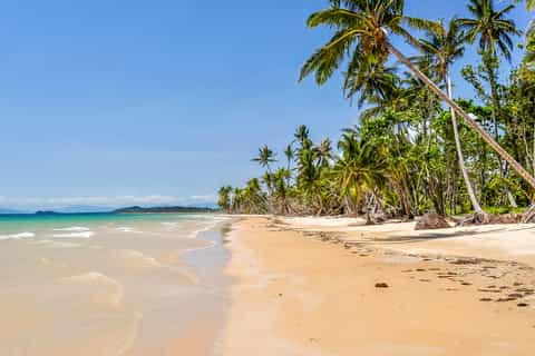Mission Beach, Great Barrier Reef - Book Tickets & Tours | GetYourGuide