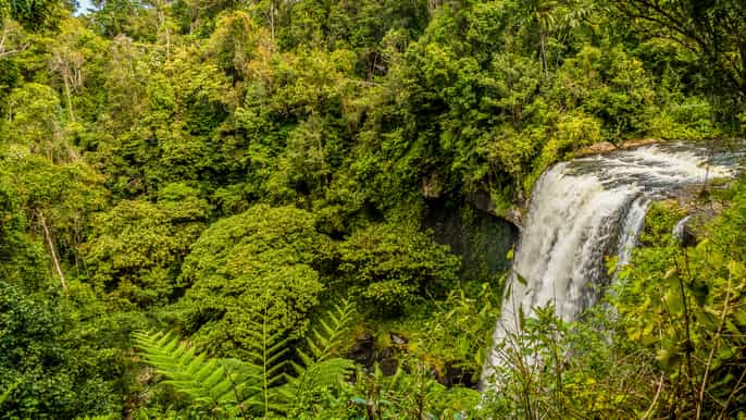 Atherton Tablelands 2021: Top 10 Tours & Activities (with Photos ...