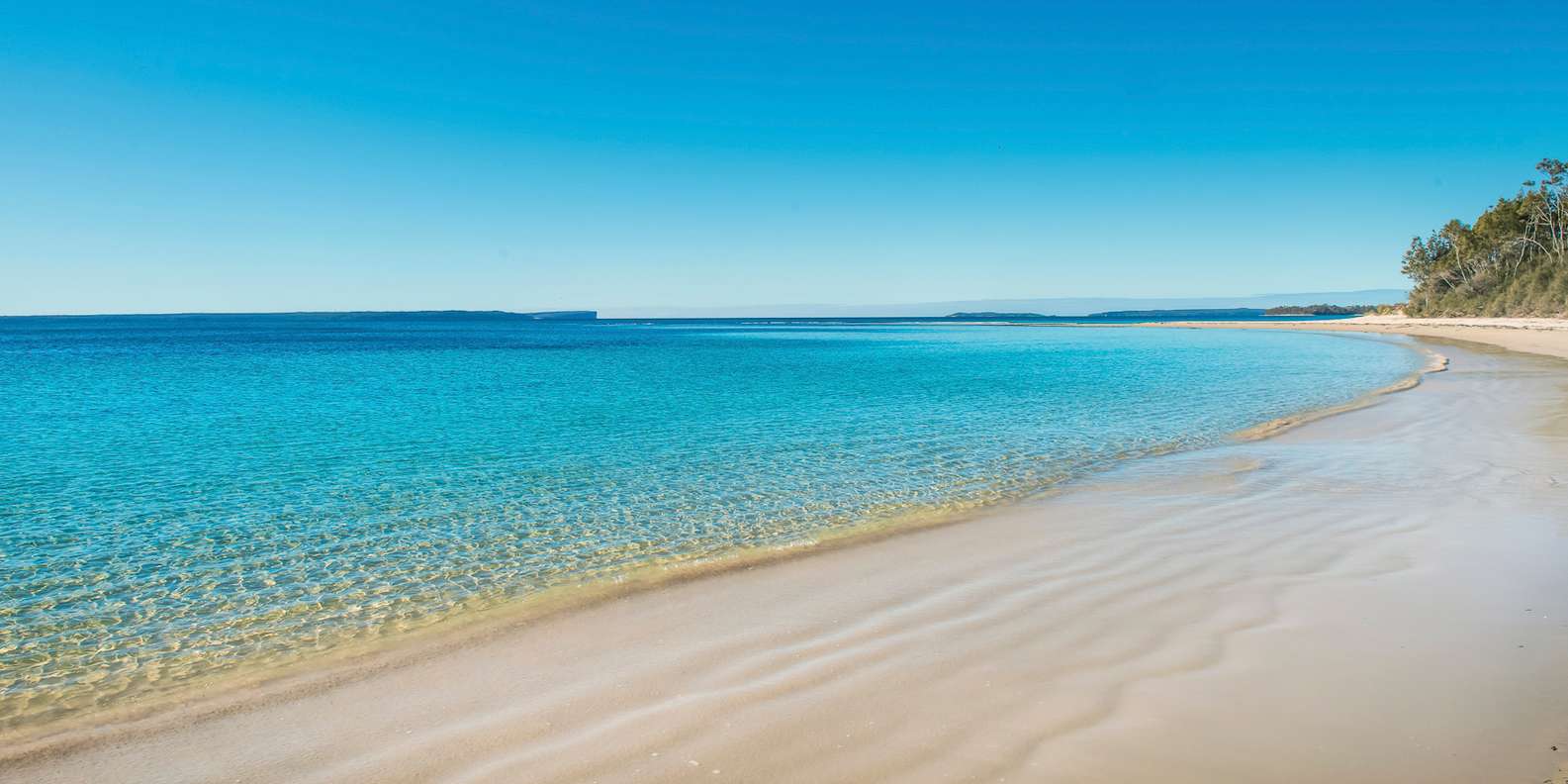 The BEST Huskisson Cruises & boat tours 2023 - FREE Cancellation ...