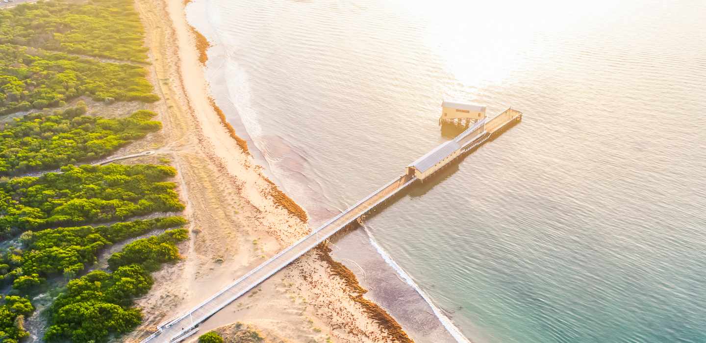 The BEST Queenscliff Autumn activities 2023 - FREE Cancellation | GetYourGuide