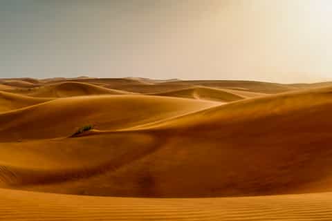 Lahbab Desert, Dubai - Book Tickets & Tours | GetYourGuide