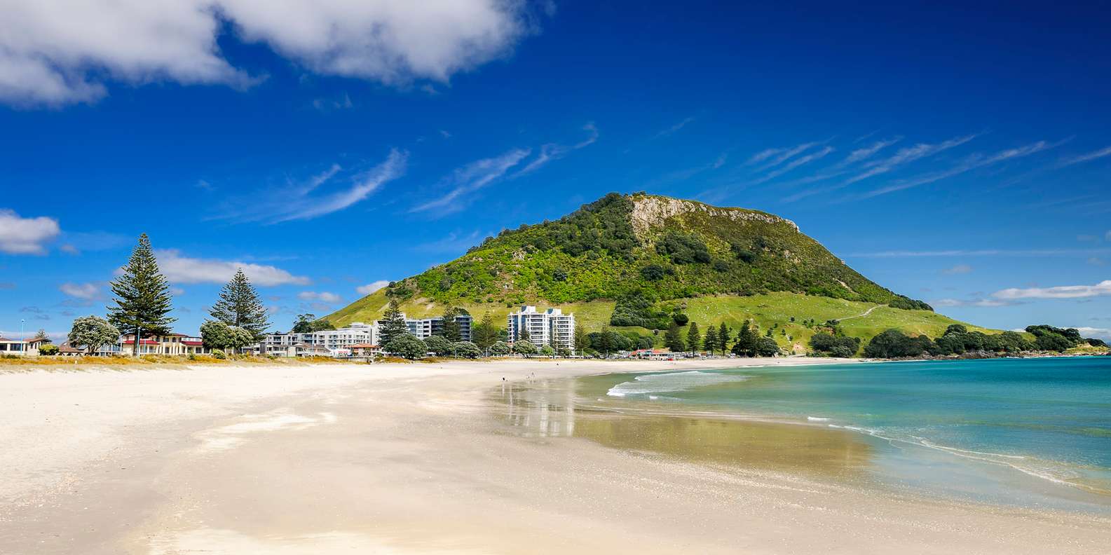 The BEST Mount Maunganui Tours and Things to Do in 2023 - FREE ...