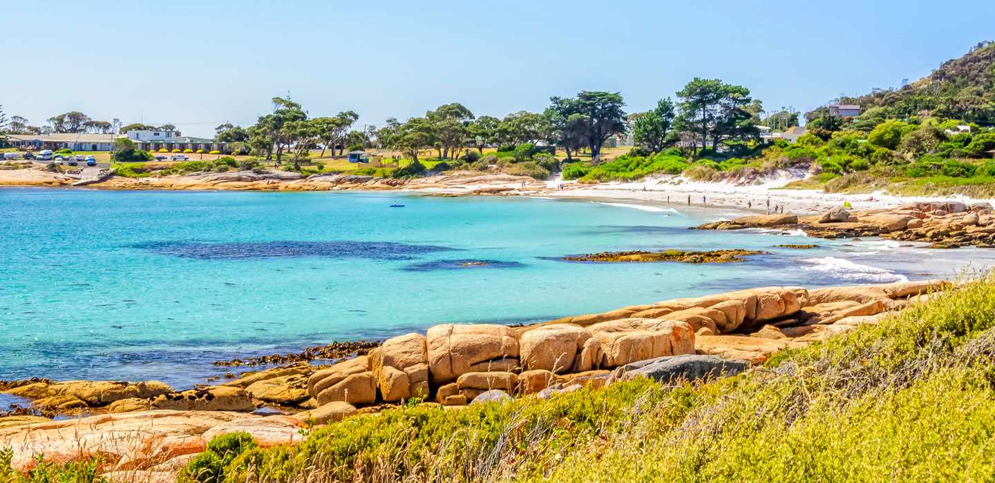 The BEST Bicheno Activities 2024 - FREE Cancellation | GetYourGuide