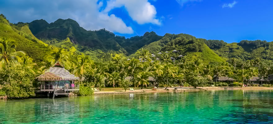 The BEST Moorea Tours and Things to Do in 2024 - FREE Cancellation ...