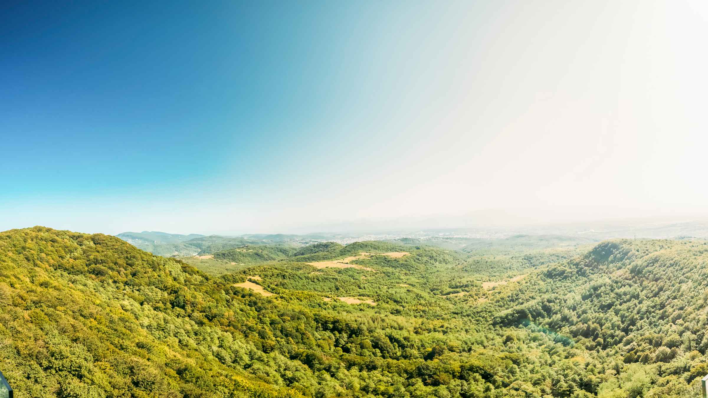 The BEST Sataplia Nature Reserve Cave Tours 2022 - FREE Cancellation ...