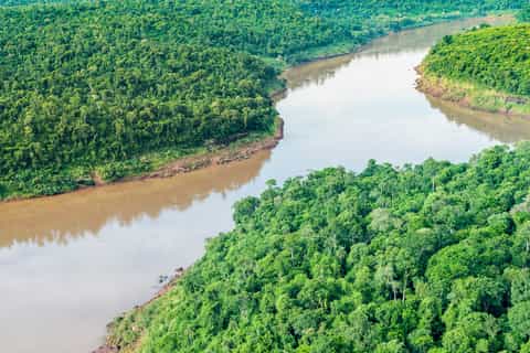 The BEST Paraná River Tours 2024 - FREE Cancellation | GetYourGuide