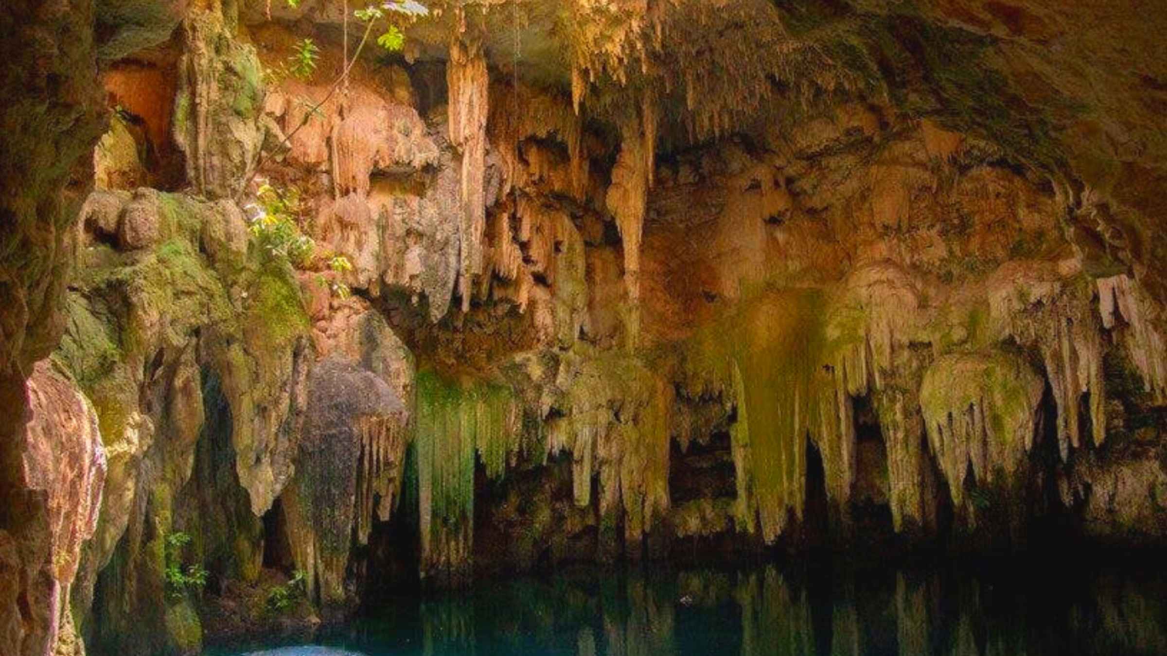 Santuario Tsukan, Yucatán - Book Tickets & Tours | GetYourGuide