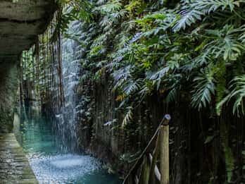 Cenote Tsukán, Yucatán - Reserva de entradas y tours | GetYourGuide
