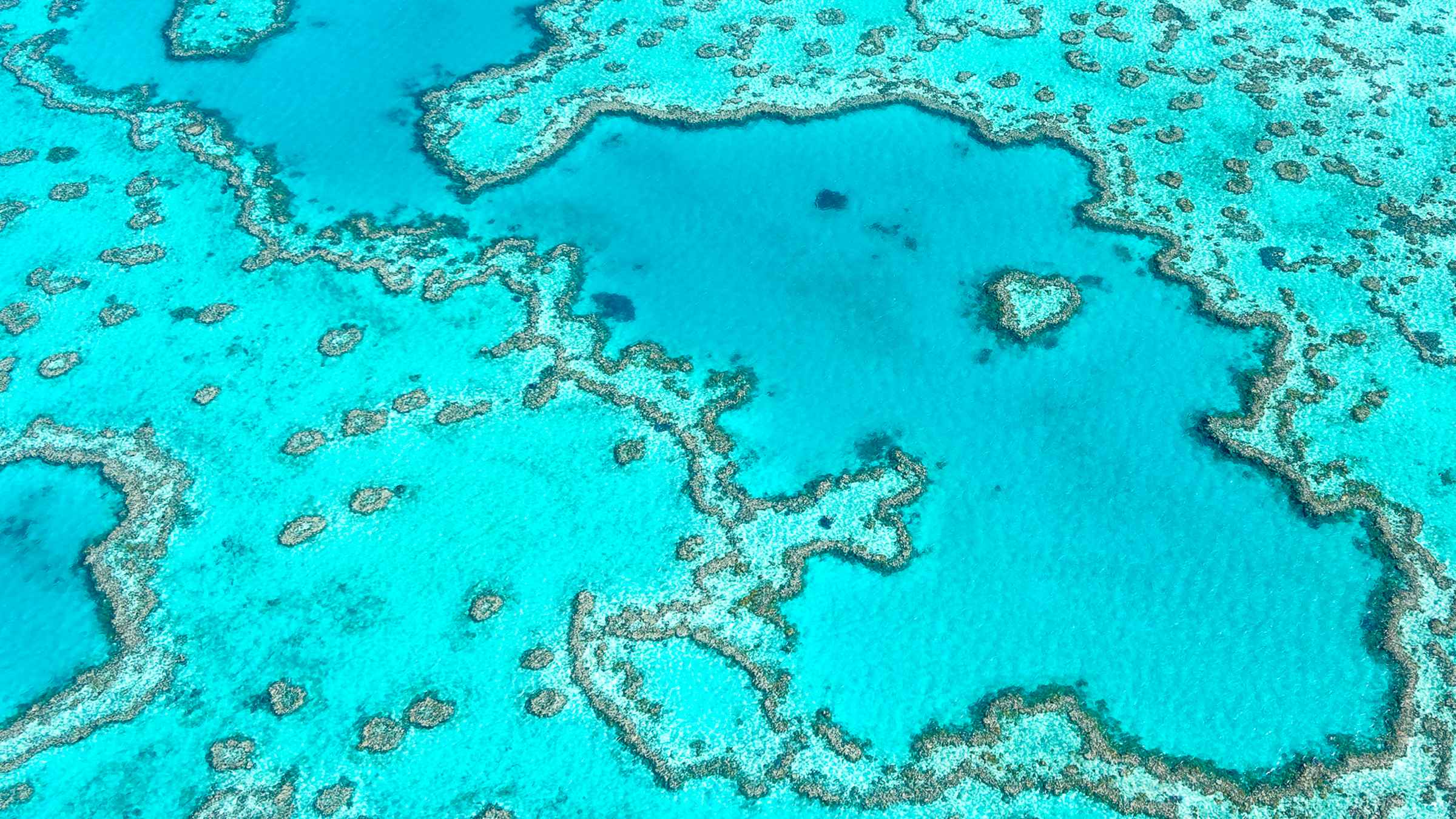 The BEST Great Barrier Reef Outdoor Activities 2021 - FREE Cancellation ...