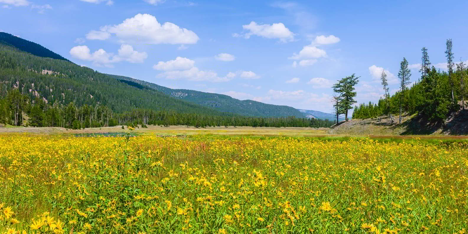 The BEST West Yellowstone Landmarks & monuments 2023 - FREE ...