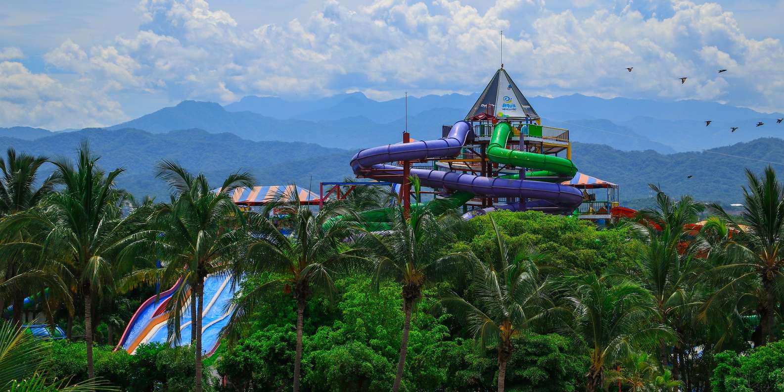Book Things To Do, Attractions, and Tours | GetYourGuide