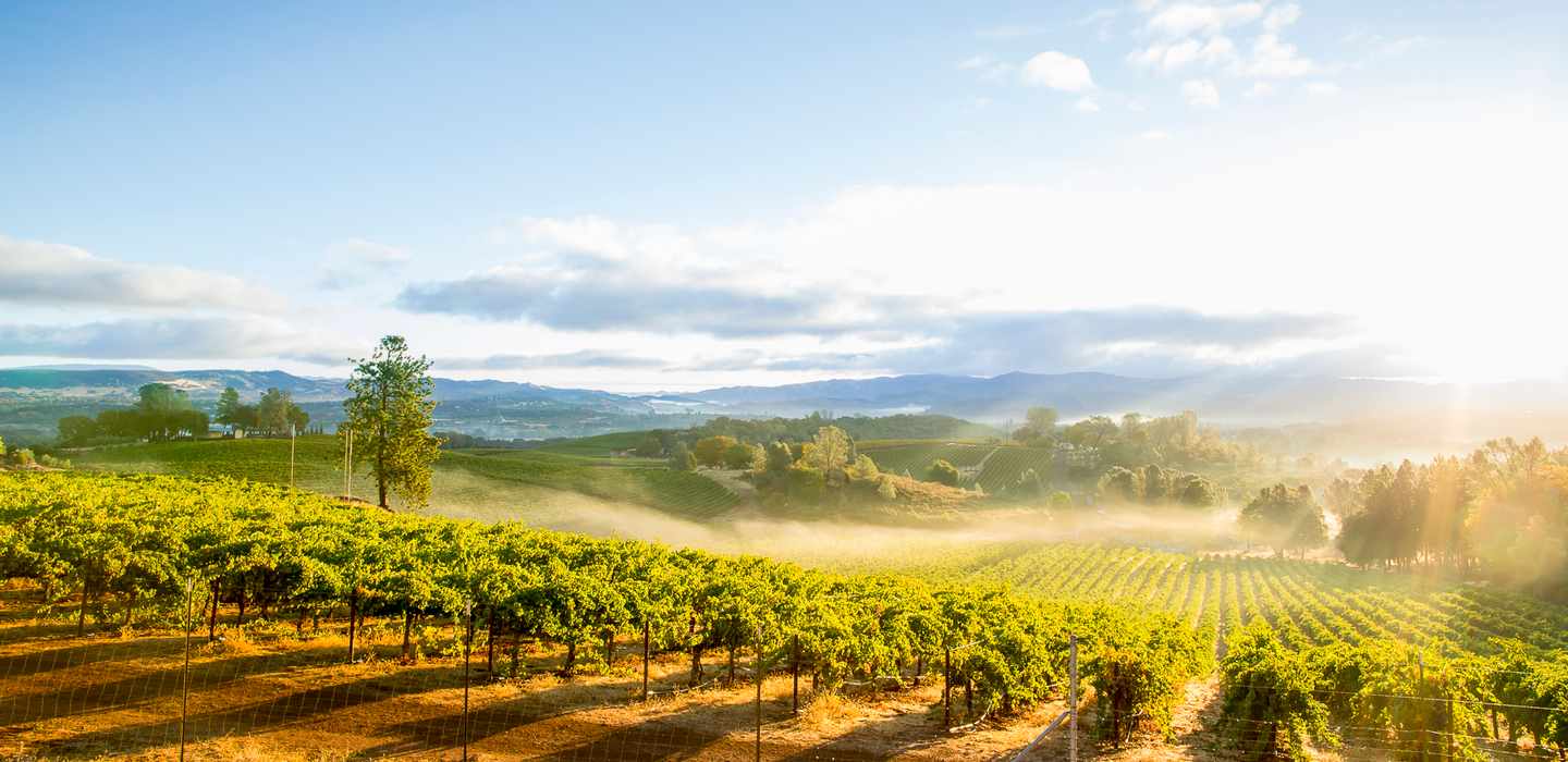 The BEST Sonoma Valley Luxury experiences 2023 - FREE Cancellation ...