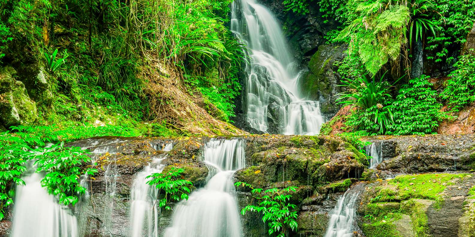 Day Trips from Lamington National Park | GetYourGuide